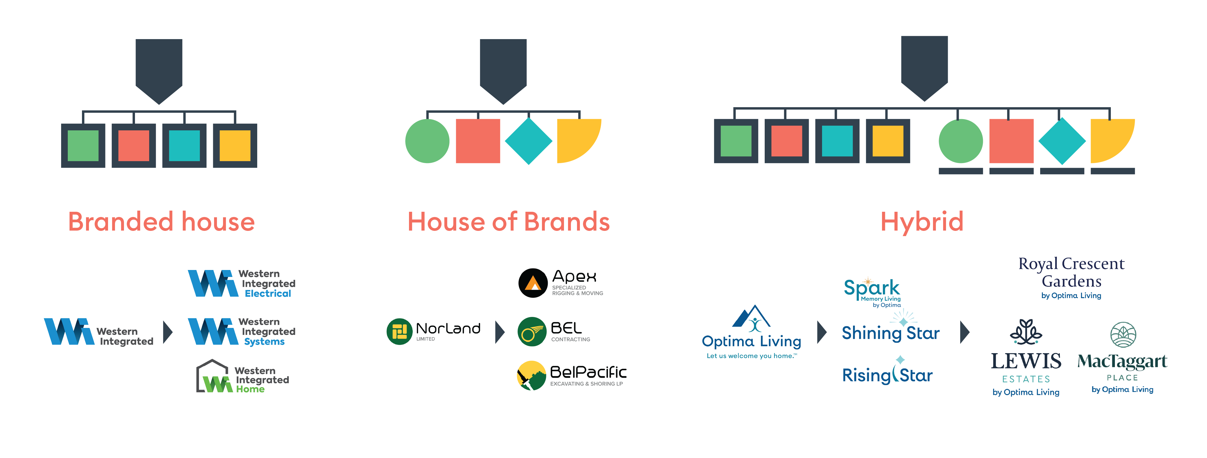 Mastering Brand Hierarchies: How to Structure and Design Brands with ...